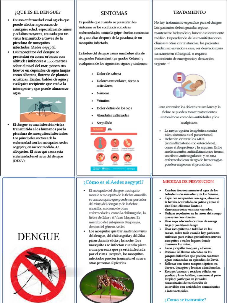 Tareas Sociales Danna | PDF | Aedes aegypti | Causas de la muerte