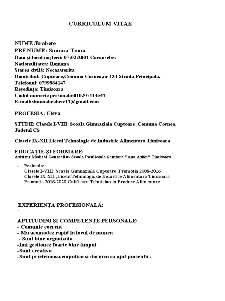 CV Simona | PDF