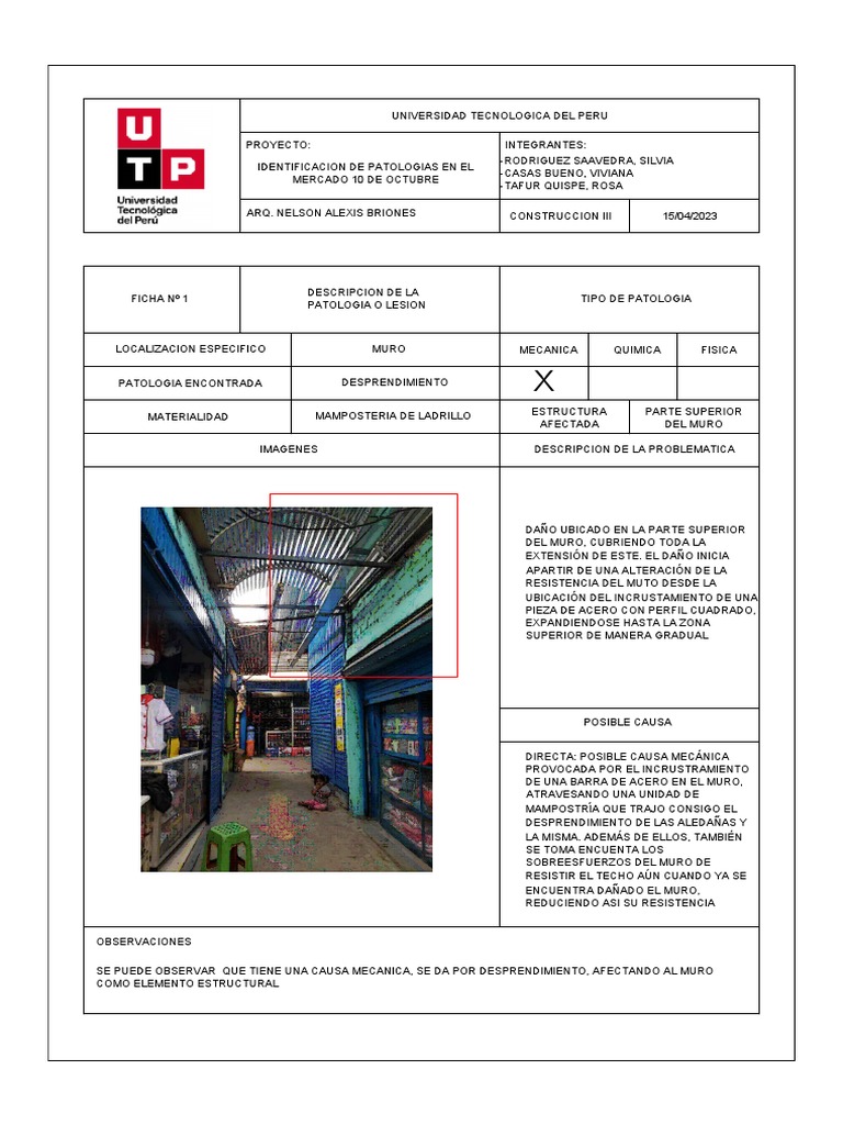 Fichas de Patologia | PDF | Albañilería | Suelo