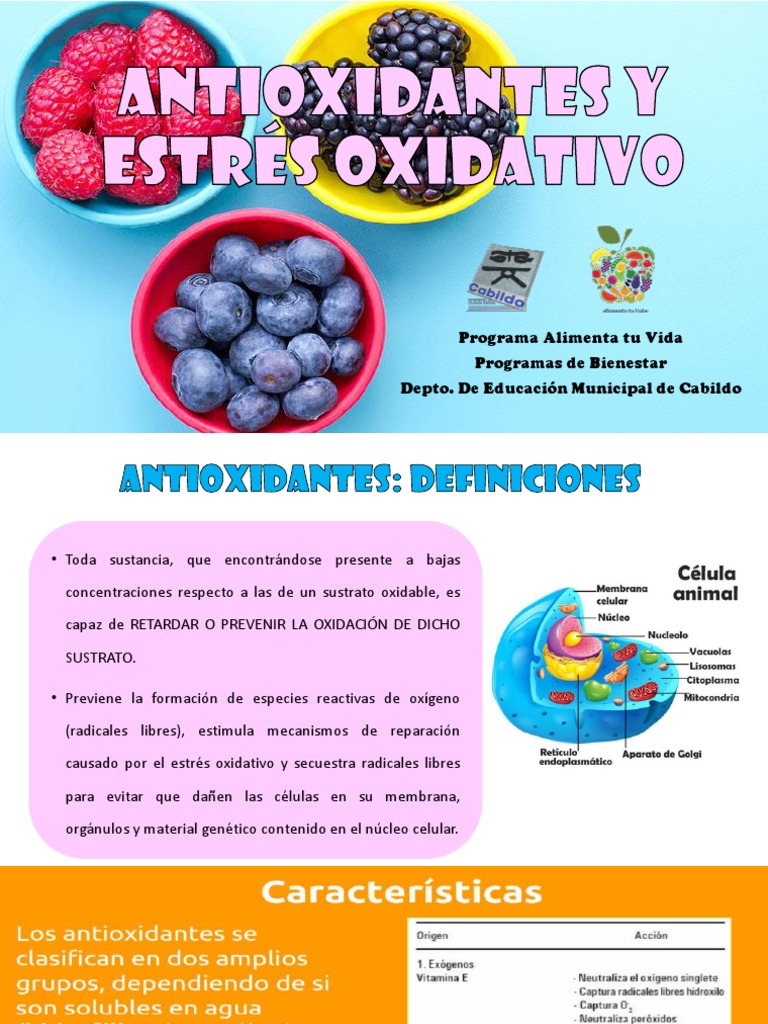 ANTIOXIDANTES Y ESTRÉS OXIDATIVO | PDF