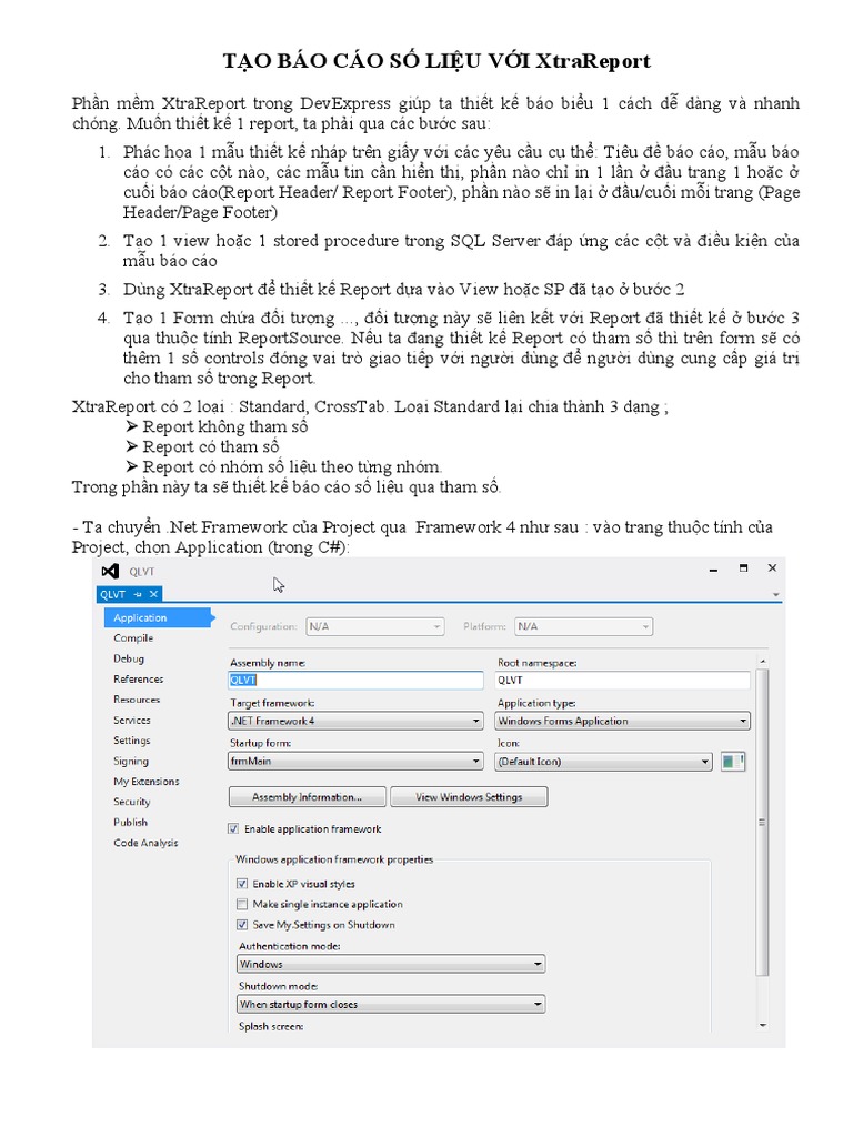C6 - Tao Bao Cao - XtraReport | PDF