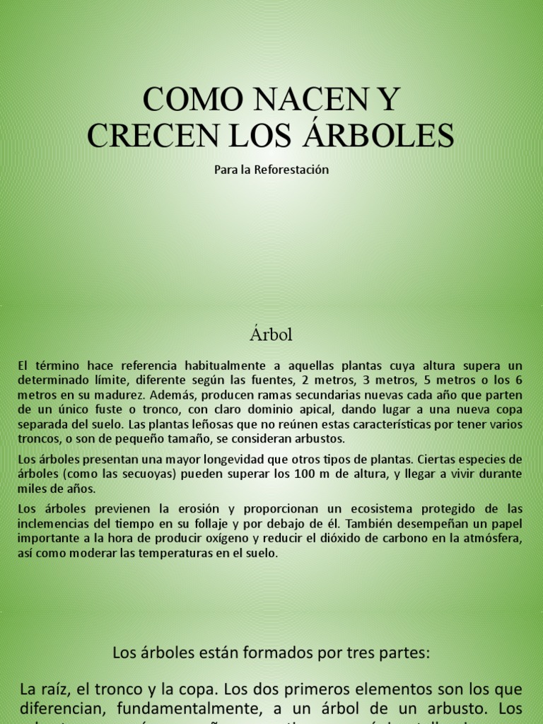 como nacen y crecen los árboles | PDF | Arboles | Tallo de la planta