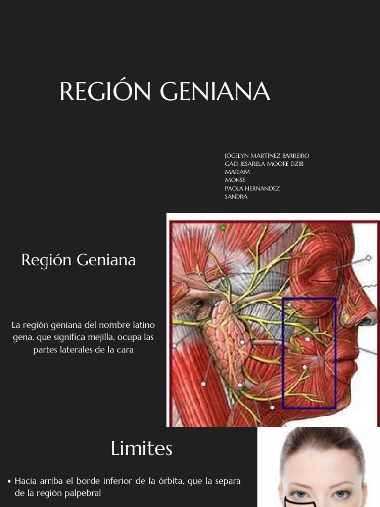 Región Geniana: Jocelyn Martínez Barreiro Gadi Jesarela Moore Dzib ...