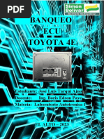 Simulador de ECU: Tipos y Funciones | PDF | Relé | Acelerador