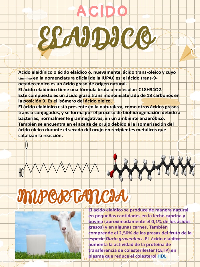 Ácido Elaídico: Impacto y Fuentes | PDF | Salud y bienestar