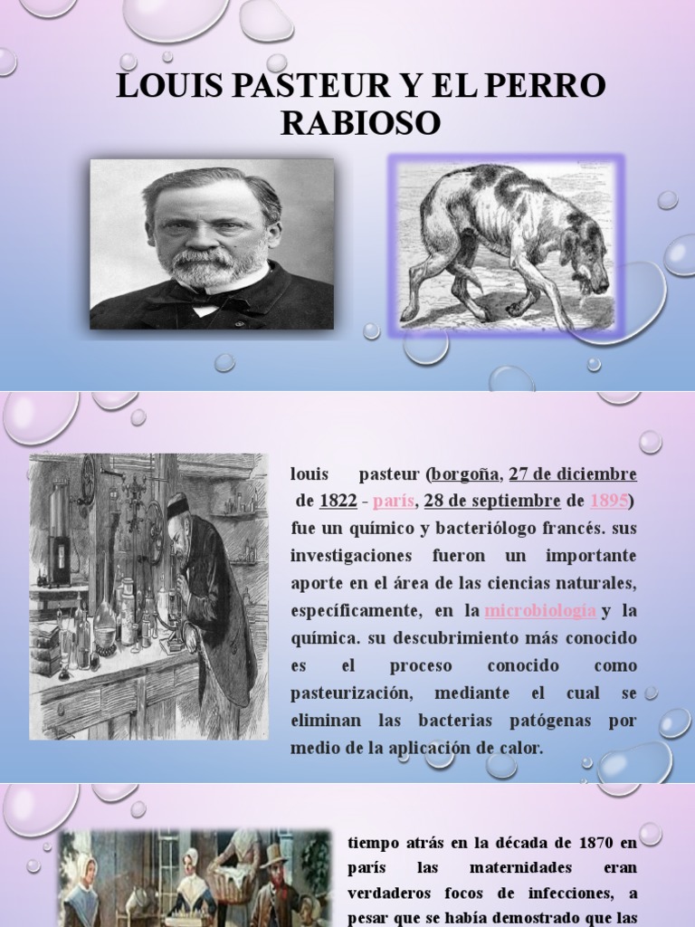 Louis Pasteur Y El Perro Rabioso | PDF | Rabia | Luis Pasteur