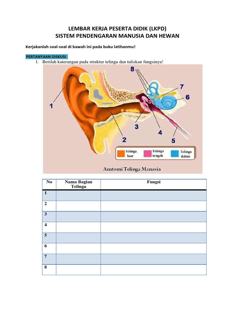 LKPD Sistem Pendengaran Kelas 5 | PDF