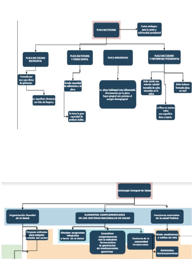 Mapa Conceptual Ops | PDF