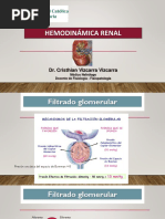 Función del túbulo contorneado distal | PDF | Riñón | Biología Celular