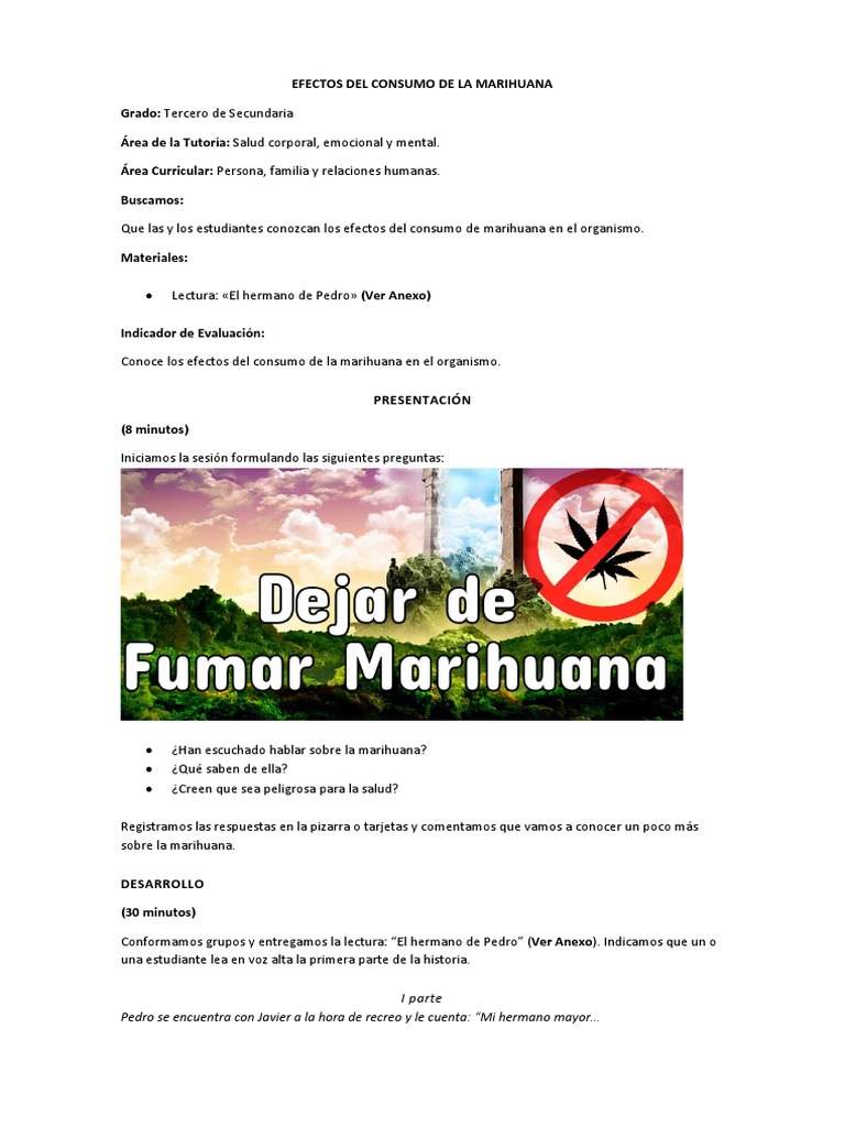 Efectos Del Consumo De La Marihuana Pdf