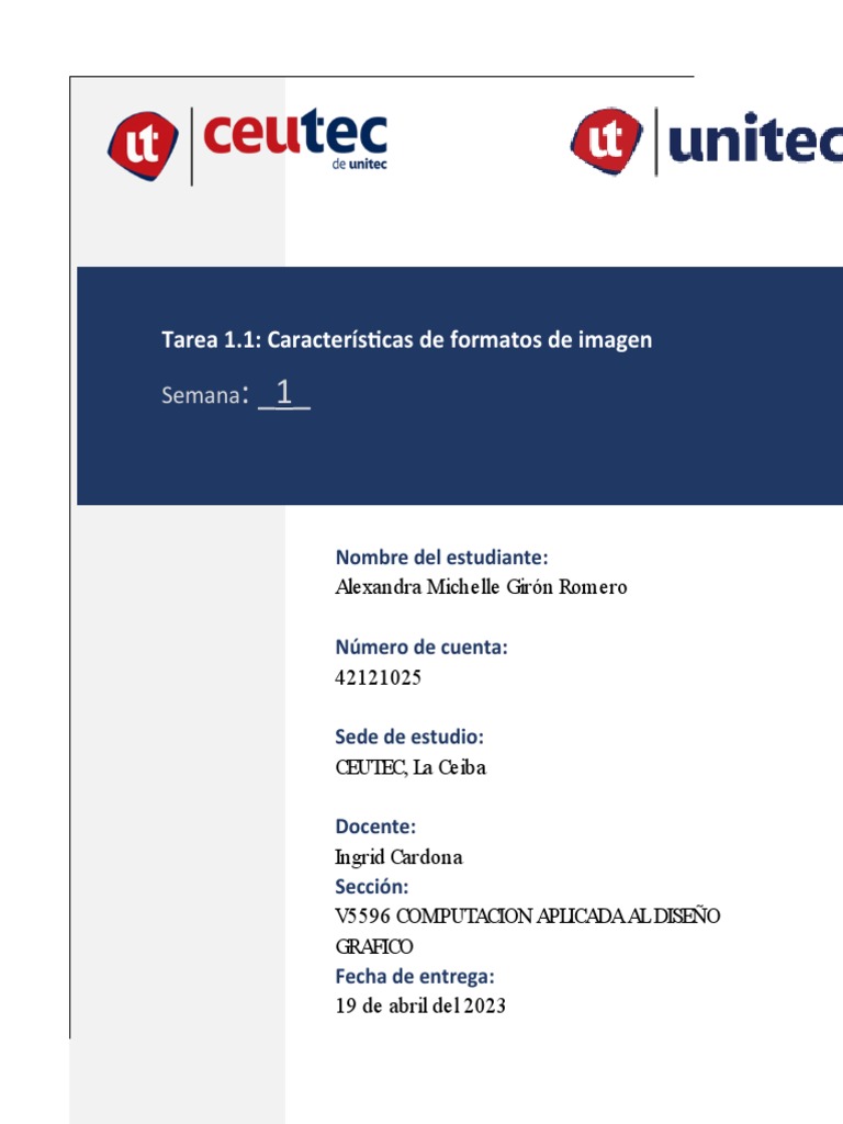 Tarea 1.1 Características de Formatos de Imagen Alexandra Giron | PDF | Formato de imagen sin ...