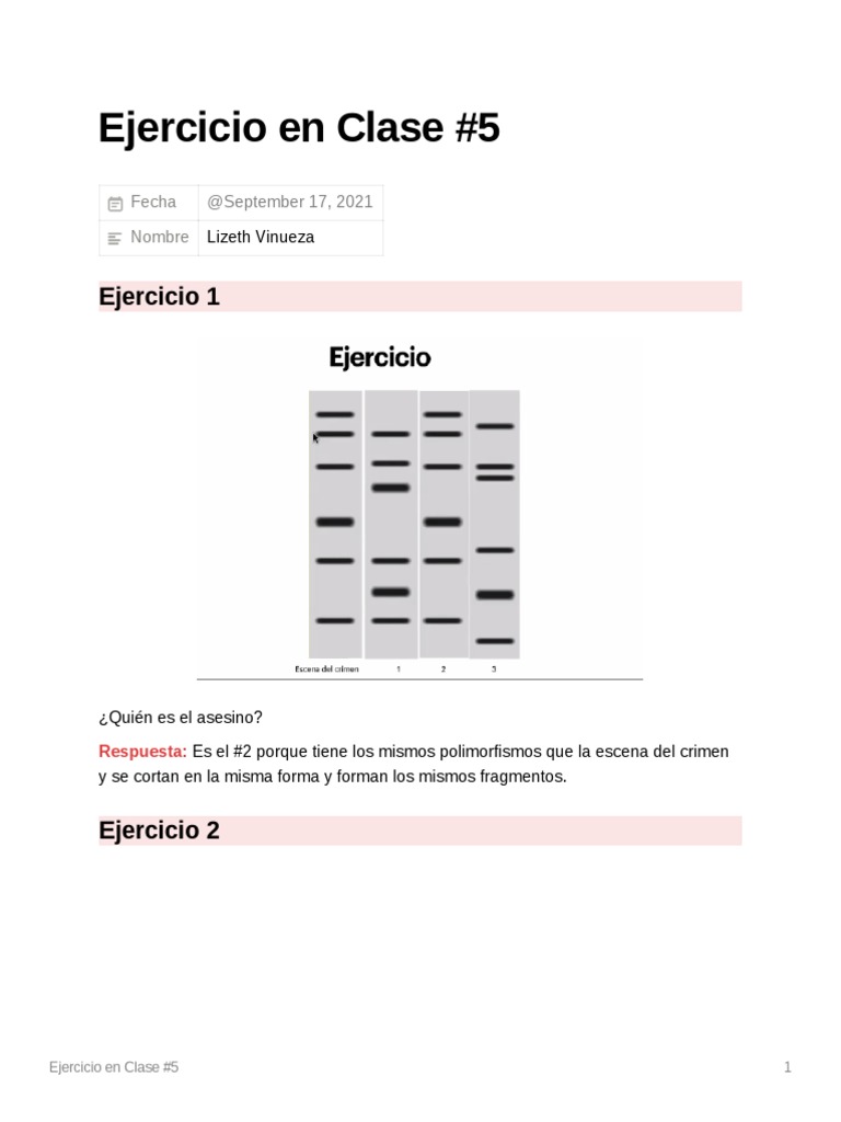 Ejercicio en Clase 5 | PDF