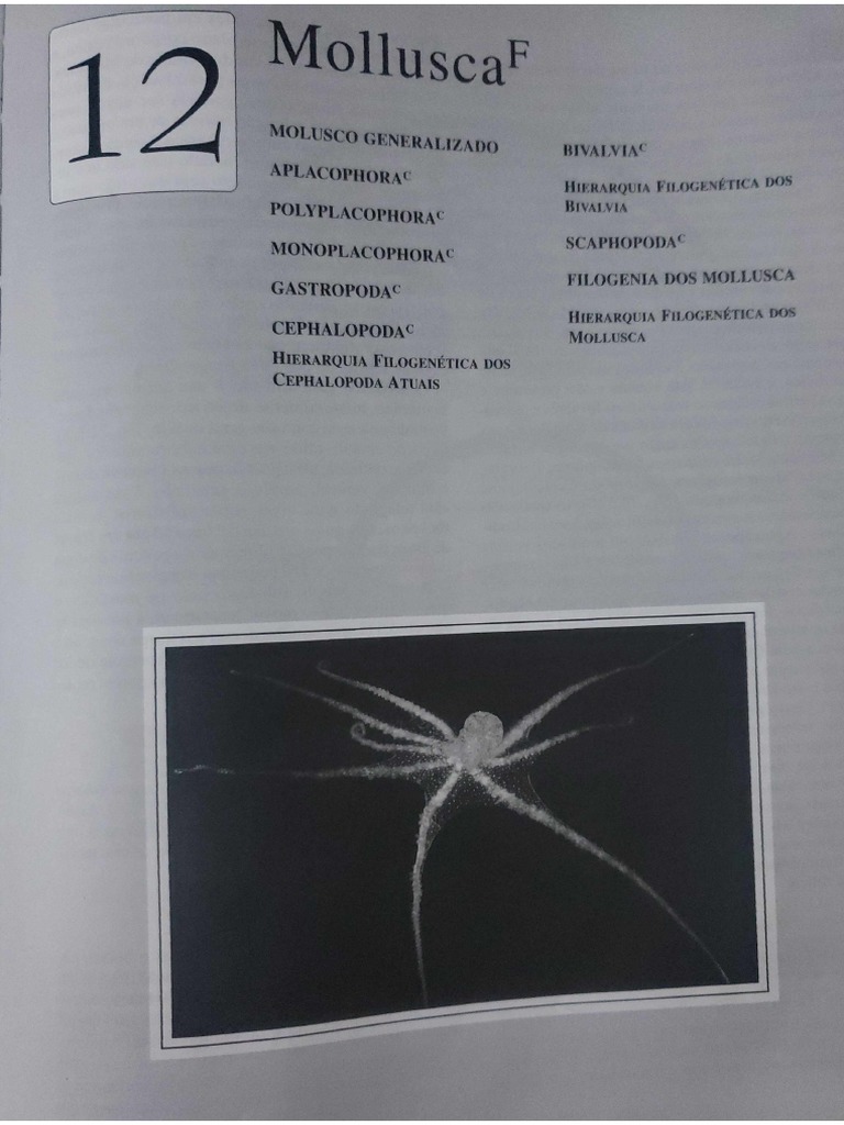 Introdução_ao_Filo_Mollusca | PDF