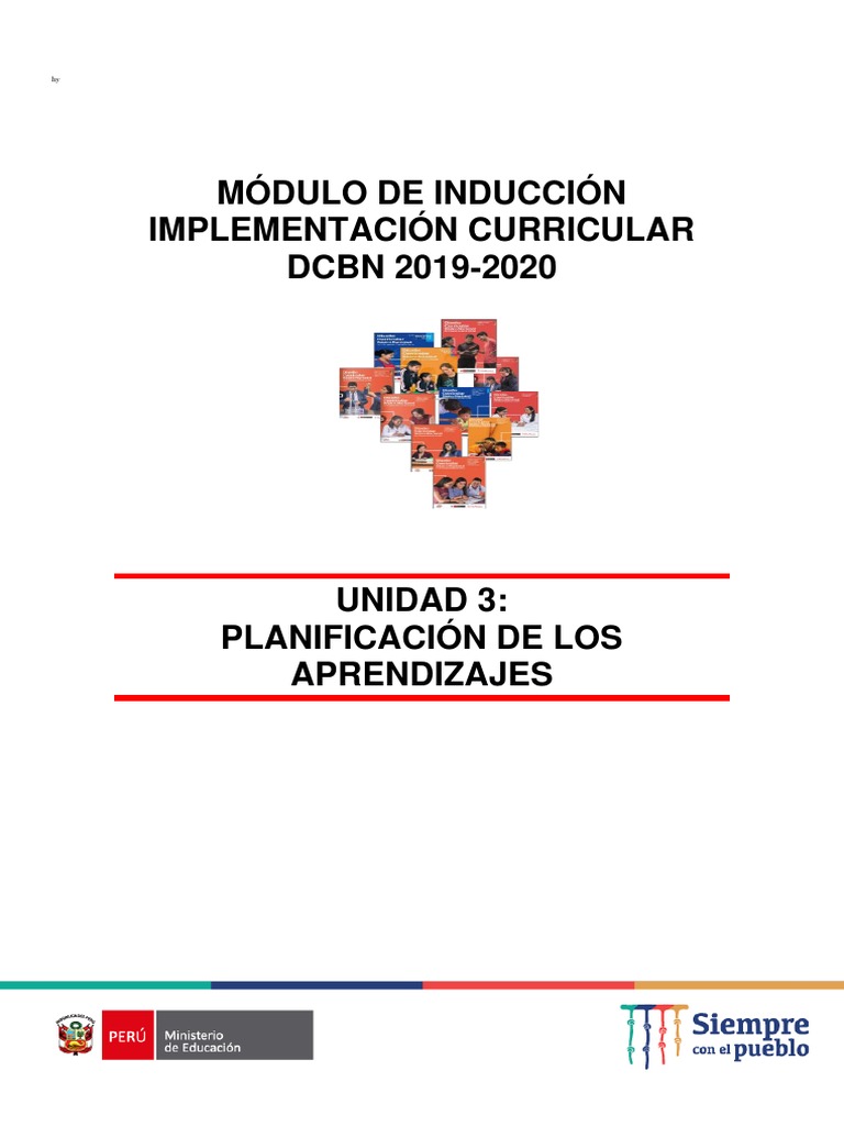 Módulo de Inducción Implementación Curricular DCBN 2019-2020 | PDF