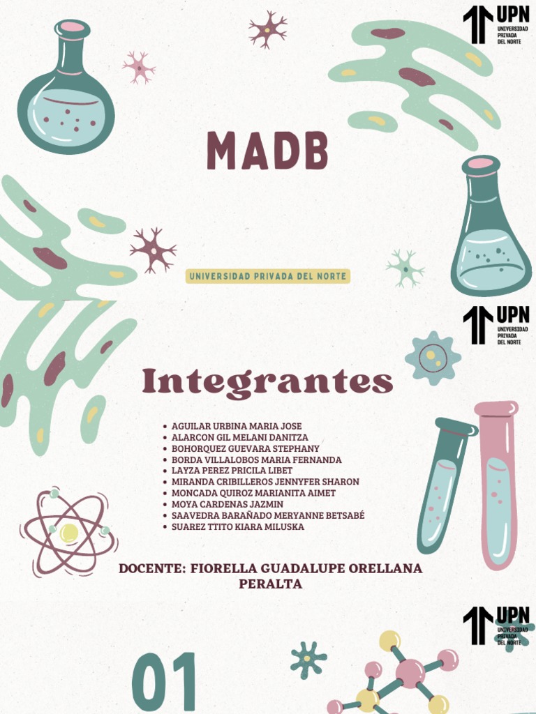 Madb Guía Semana 1 Pdf