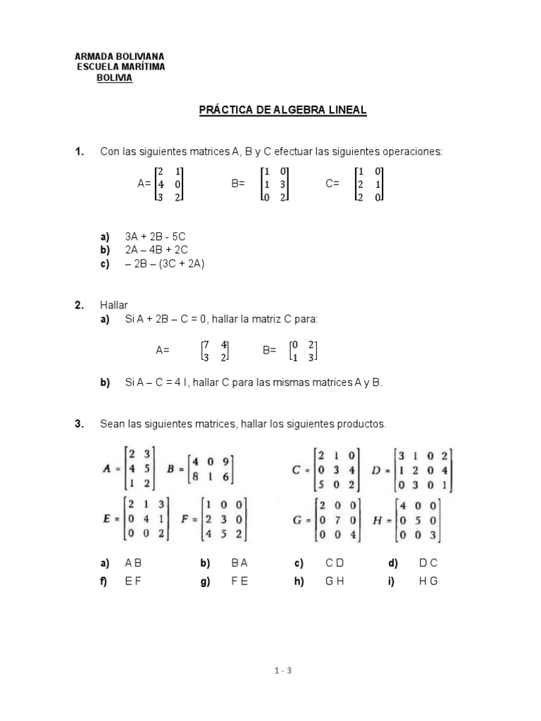 Practica de Matrices y Determinantes | PDF