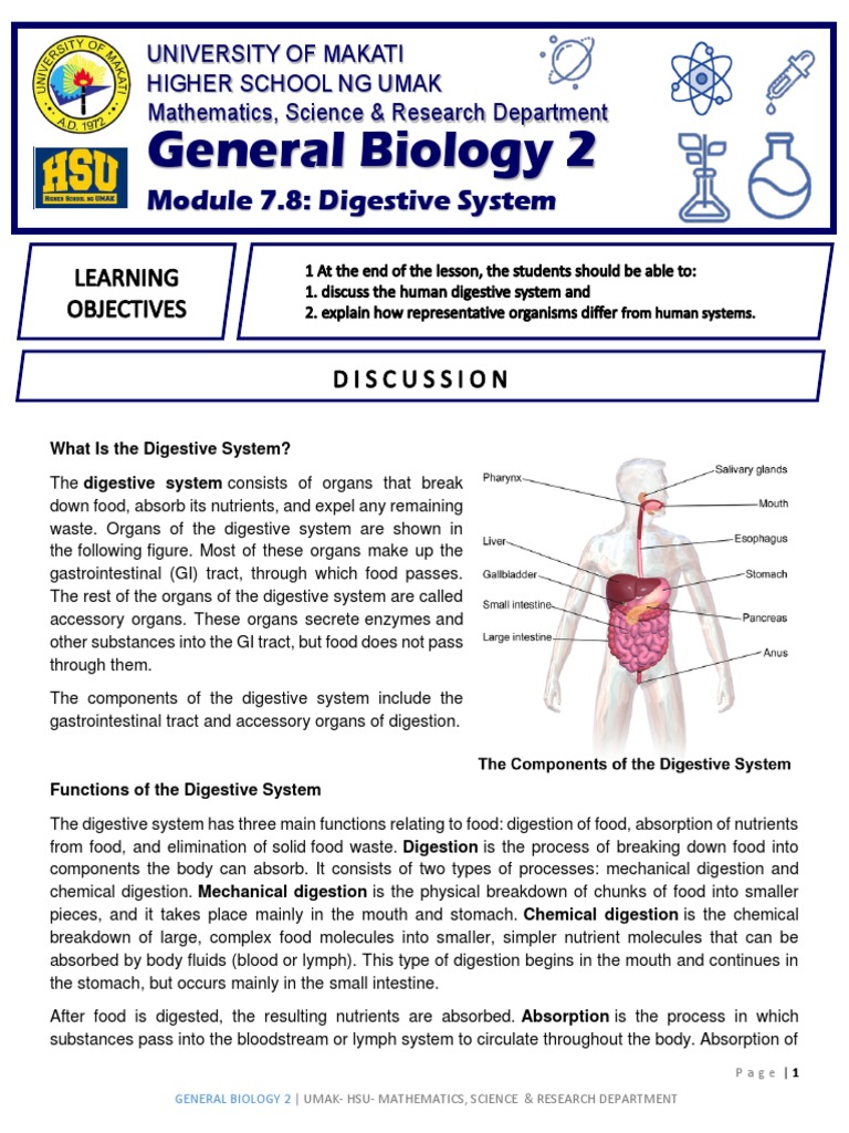 Genbio2 Module 7.8 Digestive System | PDF | Gastrointestinal Tract ...