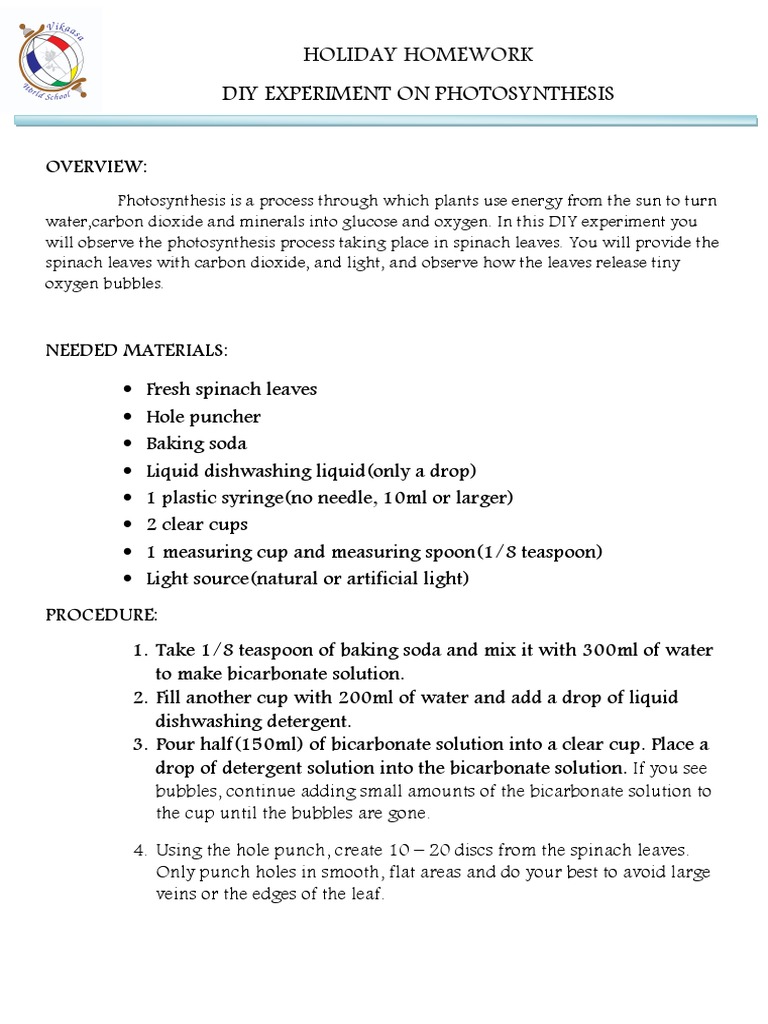 BIOLOGY HOLIDAY HOMEWORK_GRADE 8 | PDF | Sodium Bicarbonate | Leaf