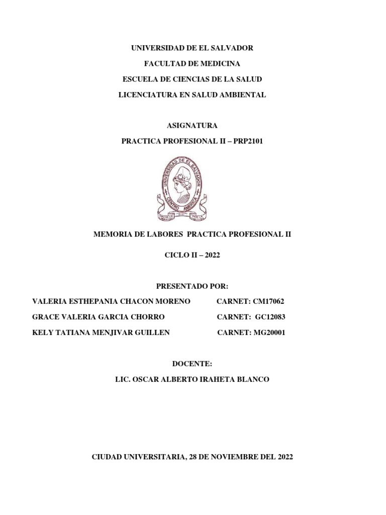 Informe Final Practica II | PDF