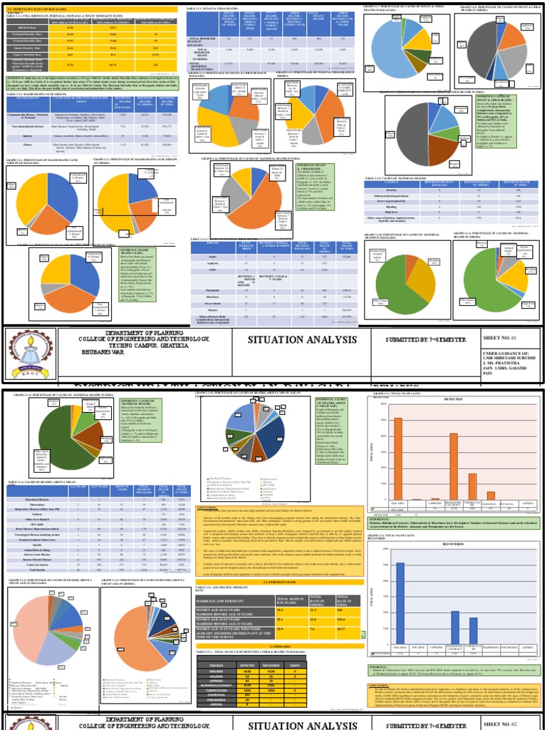 Situation Analysis (1) final | PDF
