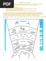 Plantilla Capas Atmosfera A3 | PDF