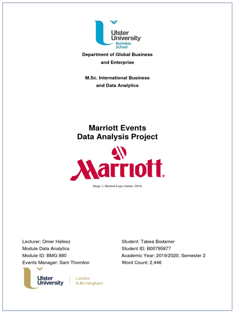 Assignment Data Analytics FINAL | PDF | Business Intelligence | Data Analysis