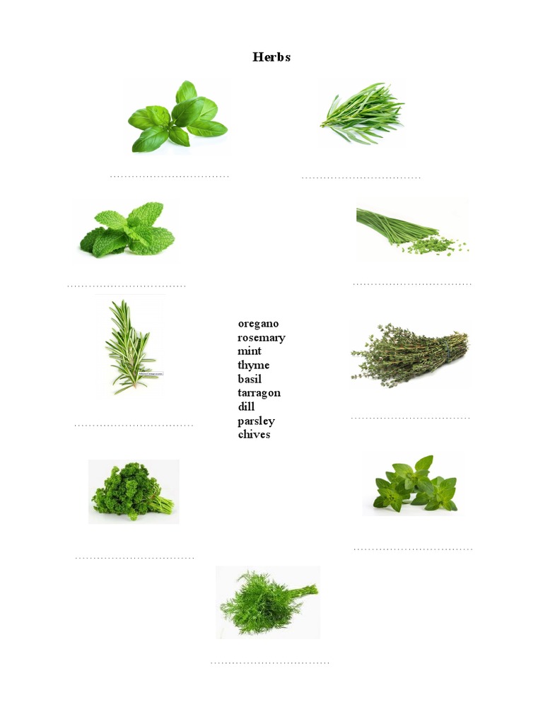 Common Culinary Herbs List | PDF | Cooking, Food & Wine
