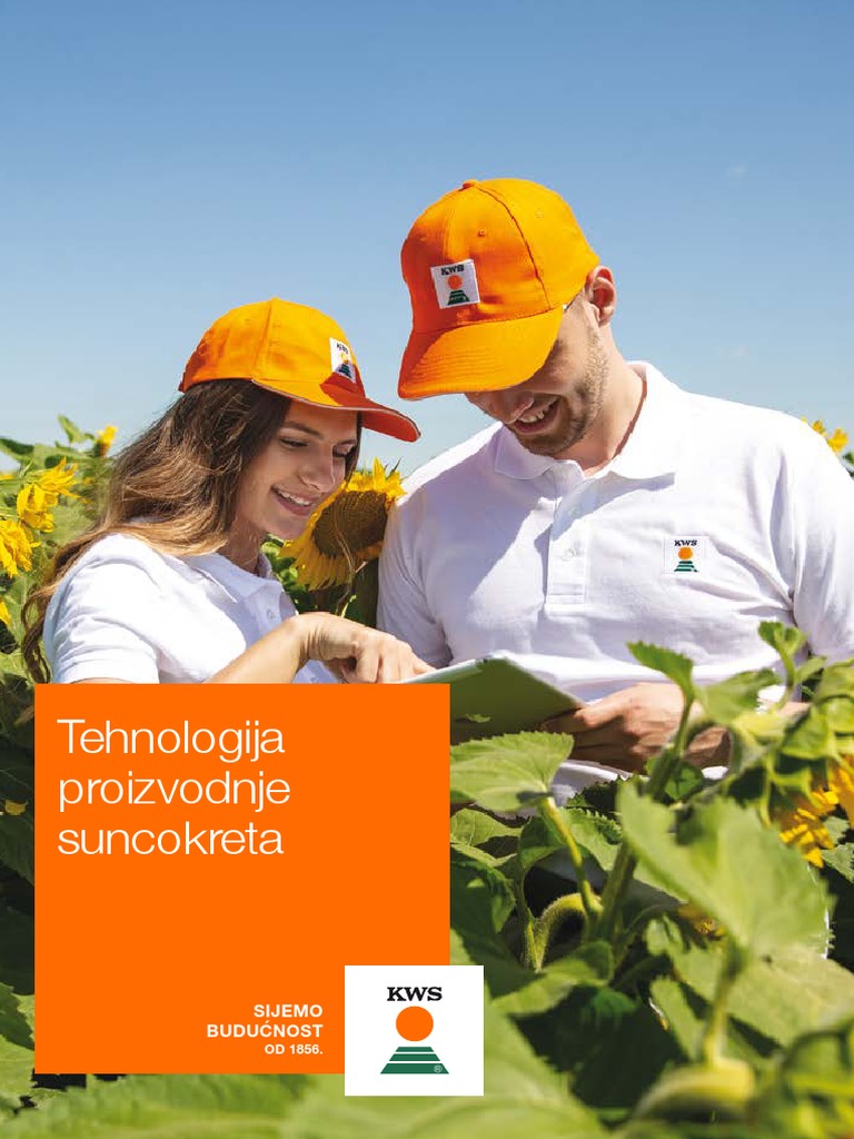 Povrsina | PDF