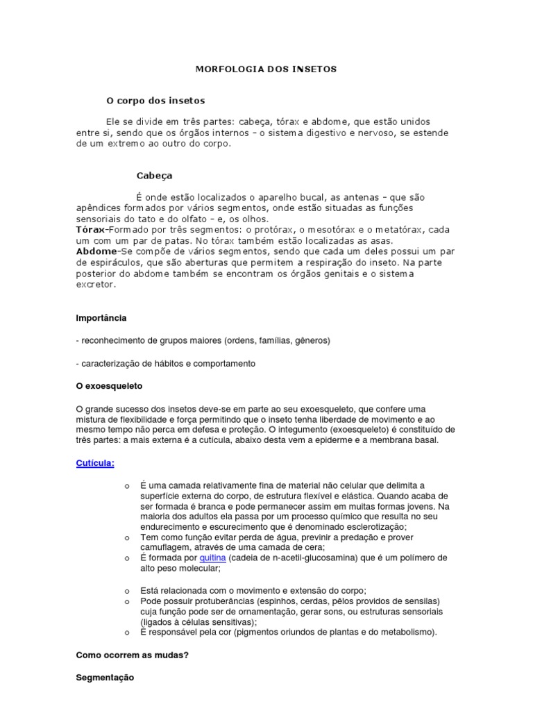 Morfologia dos Insetos: Estruturas e Funções | PDF | Insetos | Hexapoda