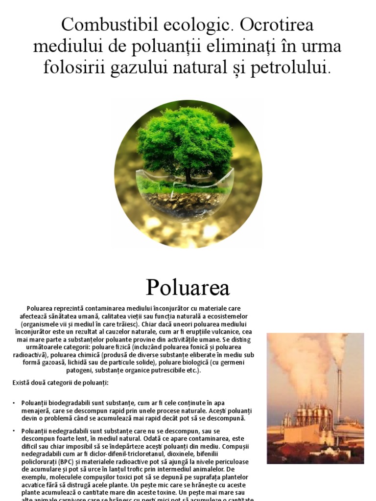 Combustibil Ecologic | PDF