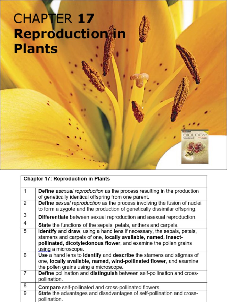 Reproduction In Plants Powerpoint Slides Pdf Plant Reproduction