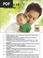 2C.2 Patterns of Inheritance | PDF | Dominance (Genetics) | Zygosity