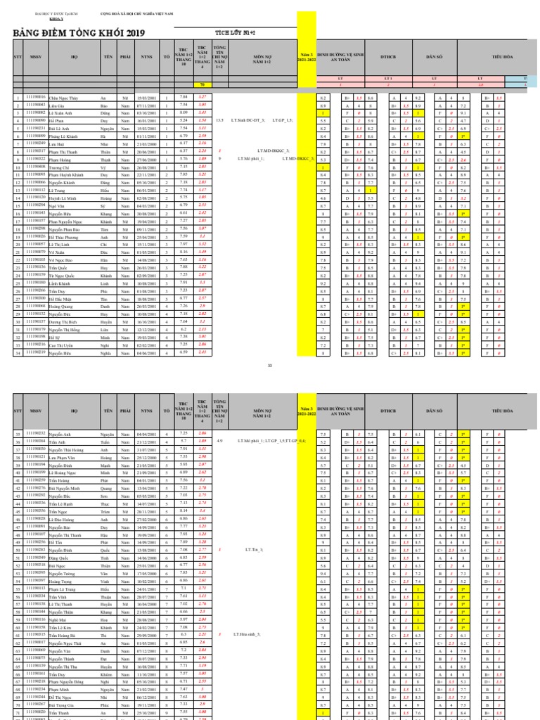 Bảng Điểm Tổng Khối 2019: Tích Lũy N1+2 | PDF