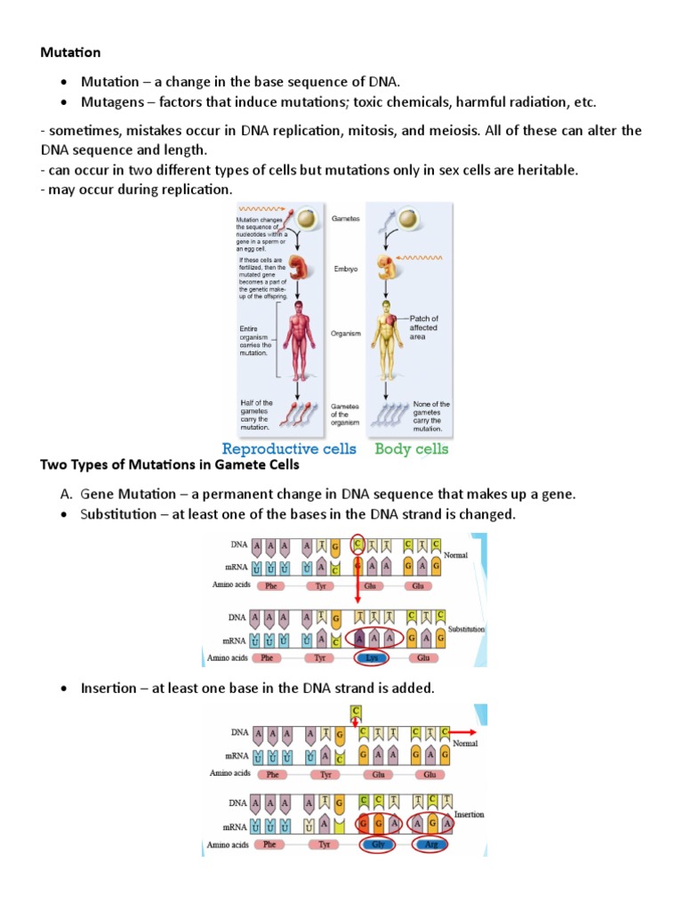 Understanding DNA Mutations and Disorders | PDF | Mutation | Point Mutation
