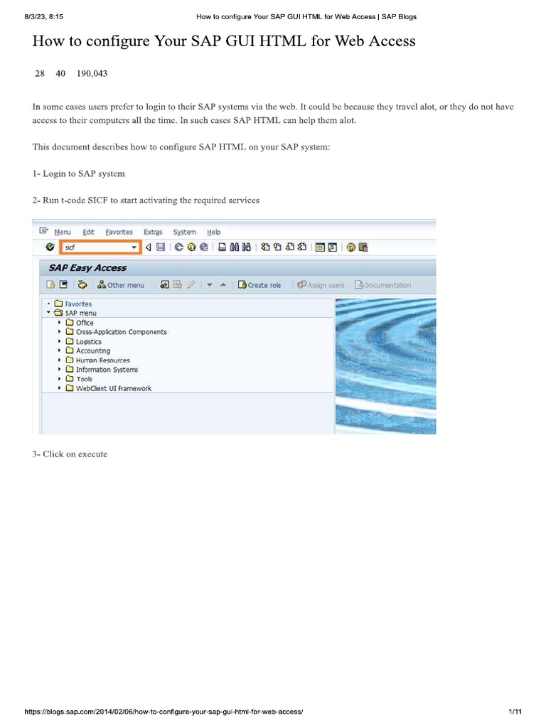 How To Configure Your Sap Gui Html For Web Access Pdf