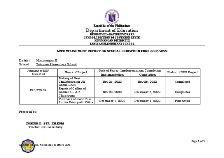 Accomplishment Report On Special Education Fund | PDF