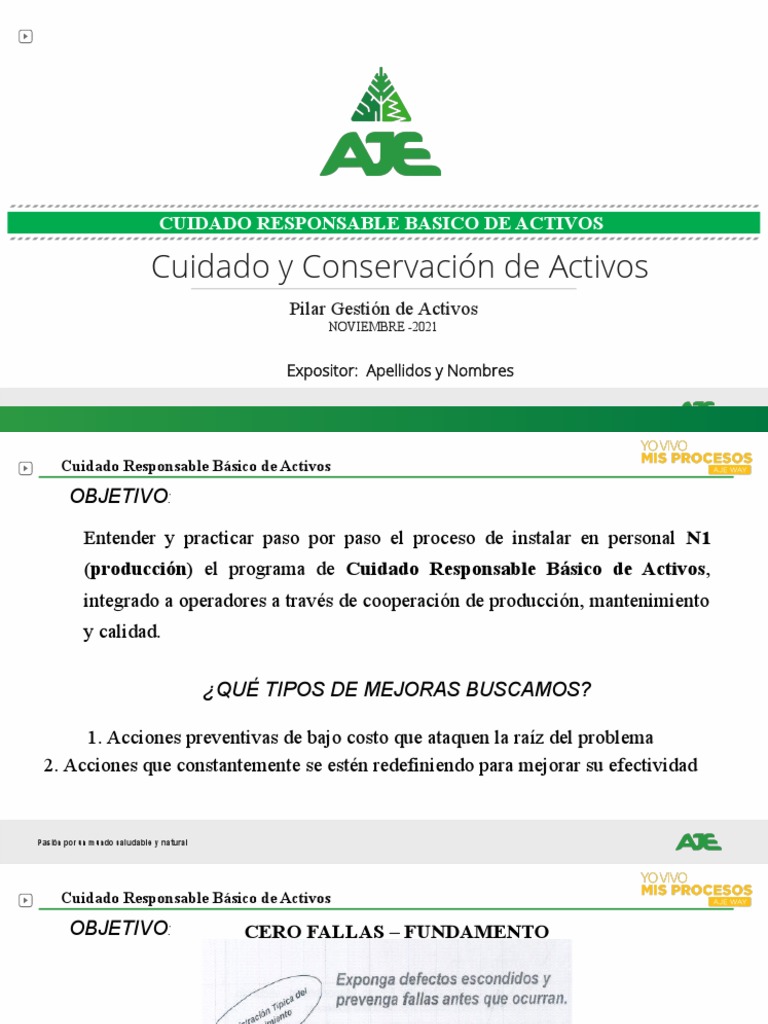 Cuidado Responsable Basico de Activos | PDF