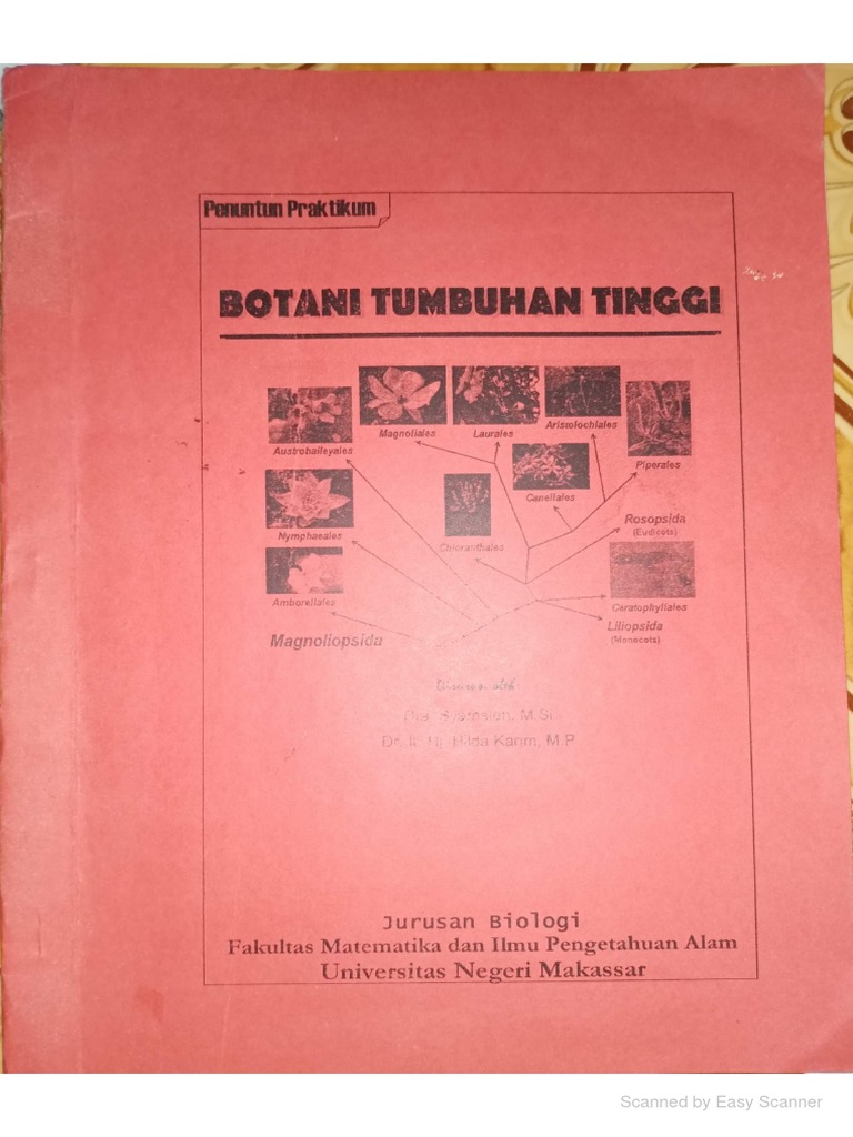 Penuntun BTT | PDF