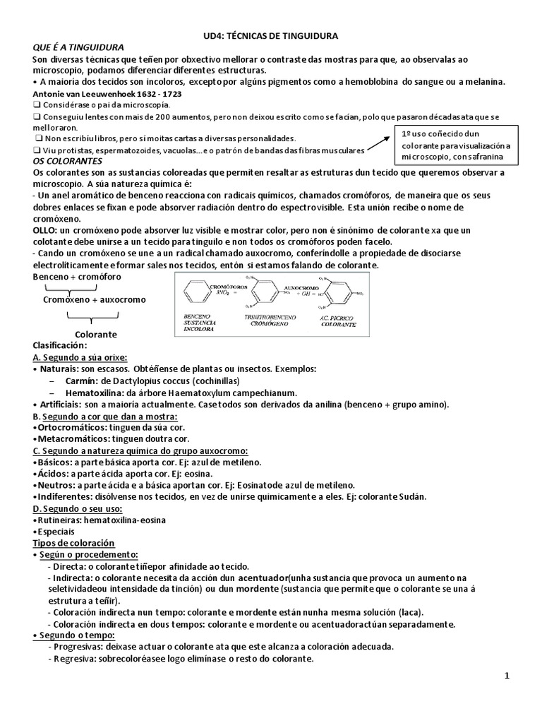 Tema 4 Tinciones PCT | PDF