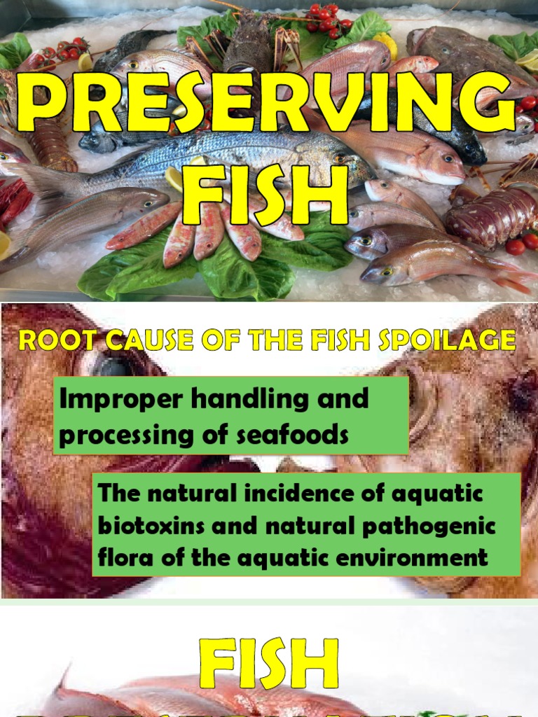 PRESERVING-FISH | PDF | Food Preservation | Refrigerator