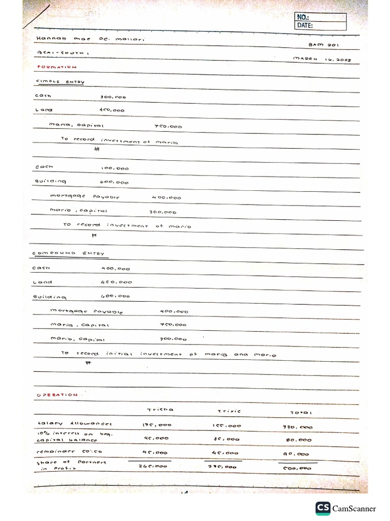 BAM 201 Formation - Operation - Dissolution | PDF