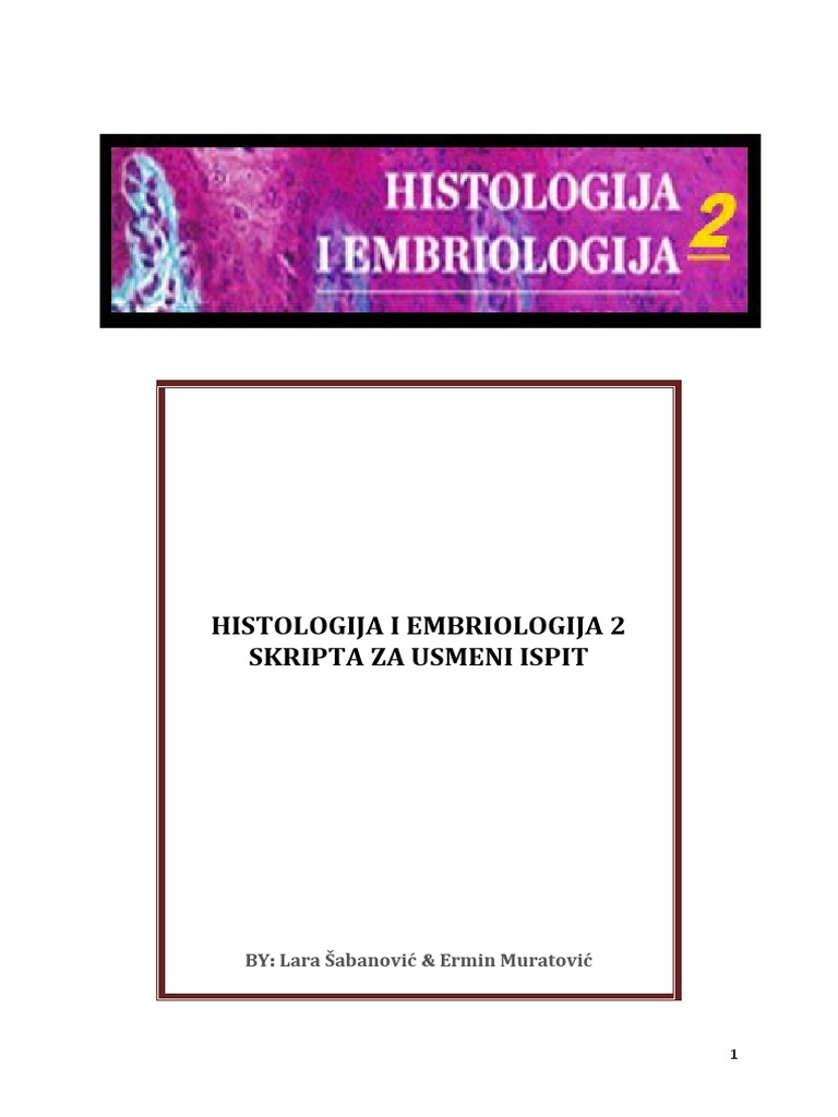 Histologija I Embriologija 2 Skripta Za Usmeni Ispit: BY: Lara Šabanović & Ermin Muratović | PDF