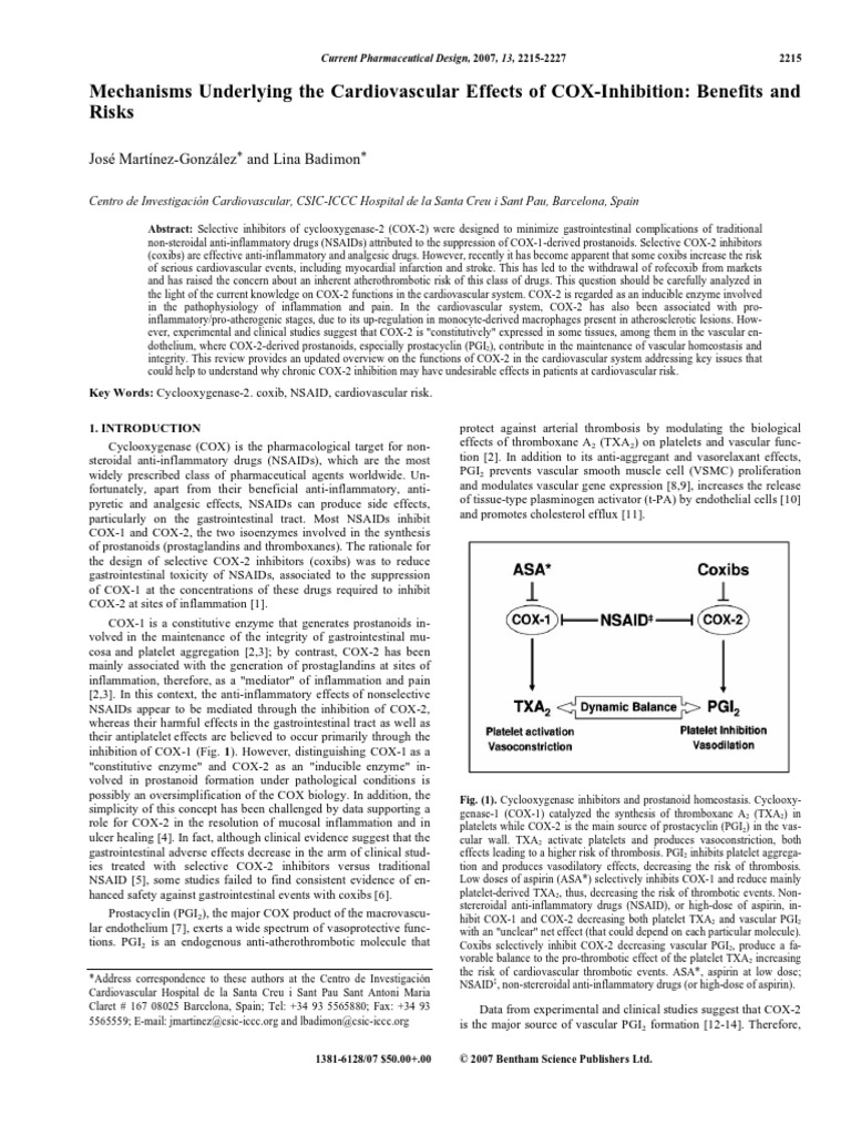Mechanisms Underlying The Cardiovascular Effects of COX-Inhibition ...