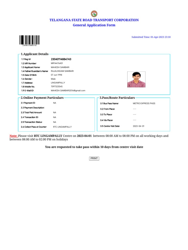Metro Express Pass Application Details | PDF