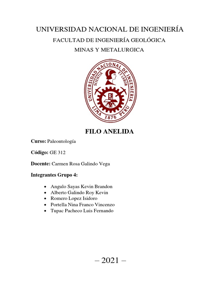 Estructura y Clasificación de Anélidos | PDF | Protostomas | Anatomía