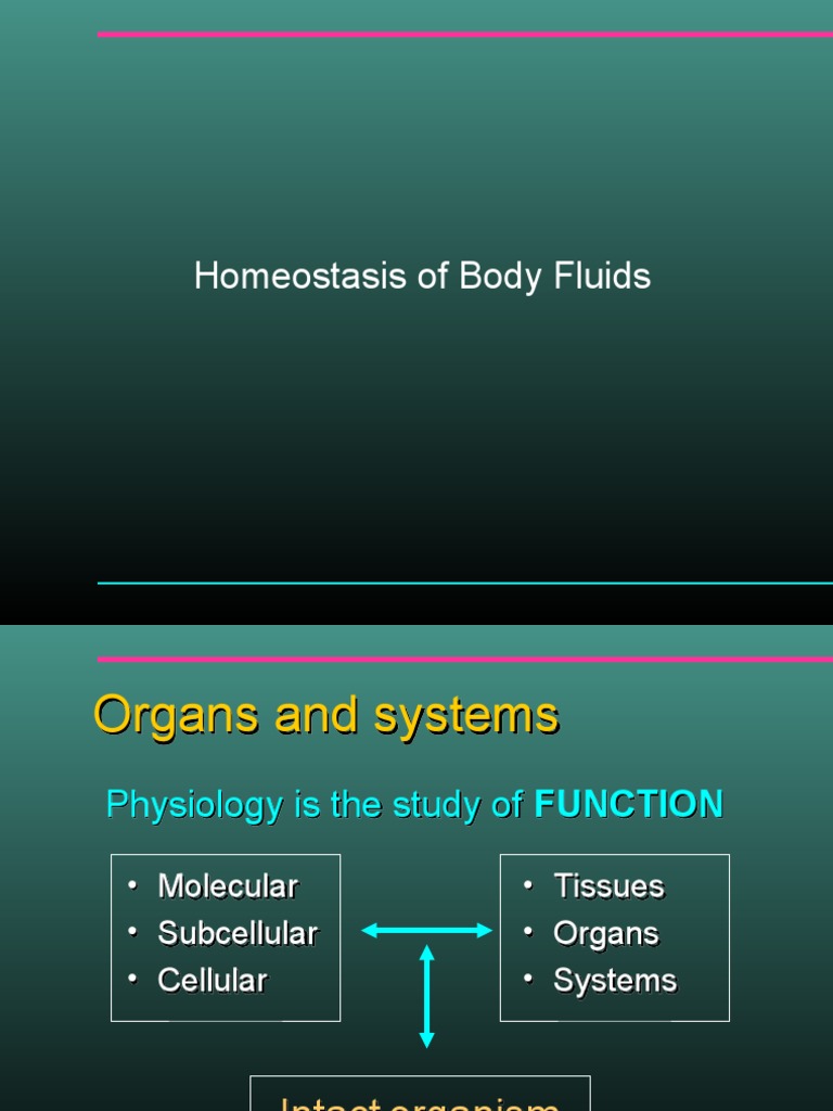 Homeostasis of Body Fluids | PDF | Homeostasis | Dehydration
