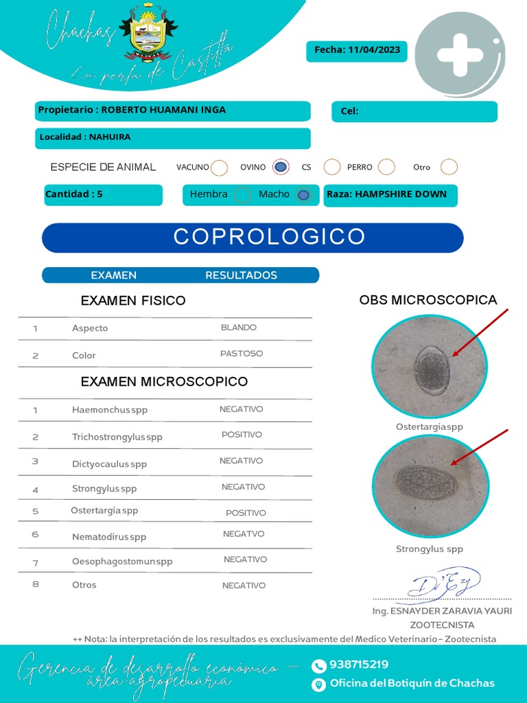 RESULTADO ANALISIS COPROLOGICO 2 | PDF