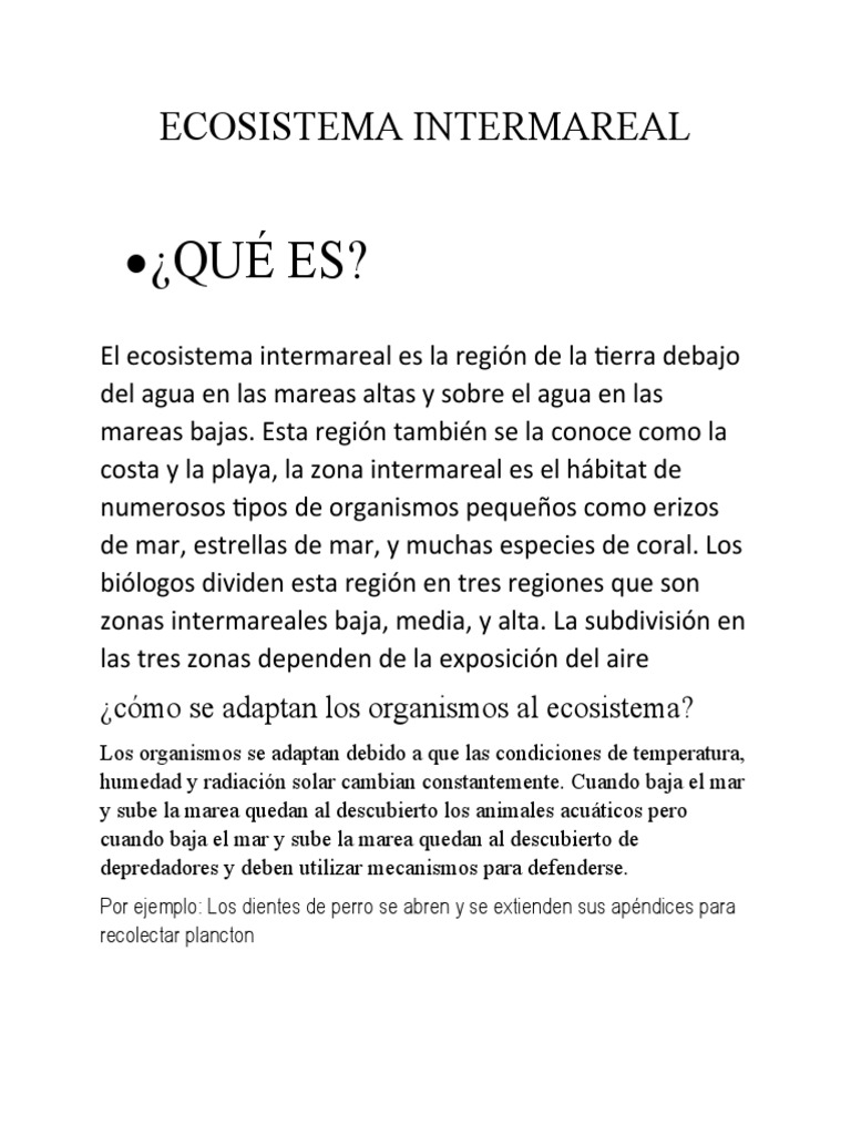 Ecosistema Intermareal | PDF