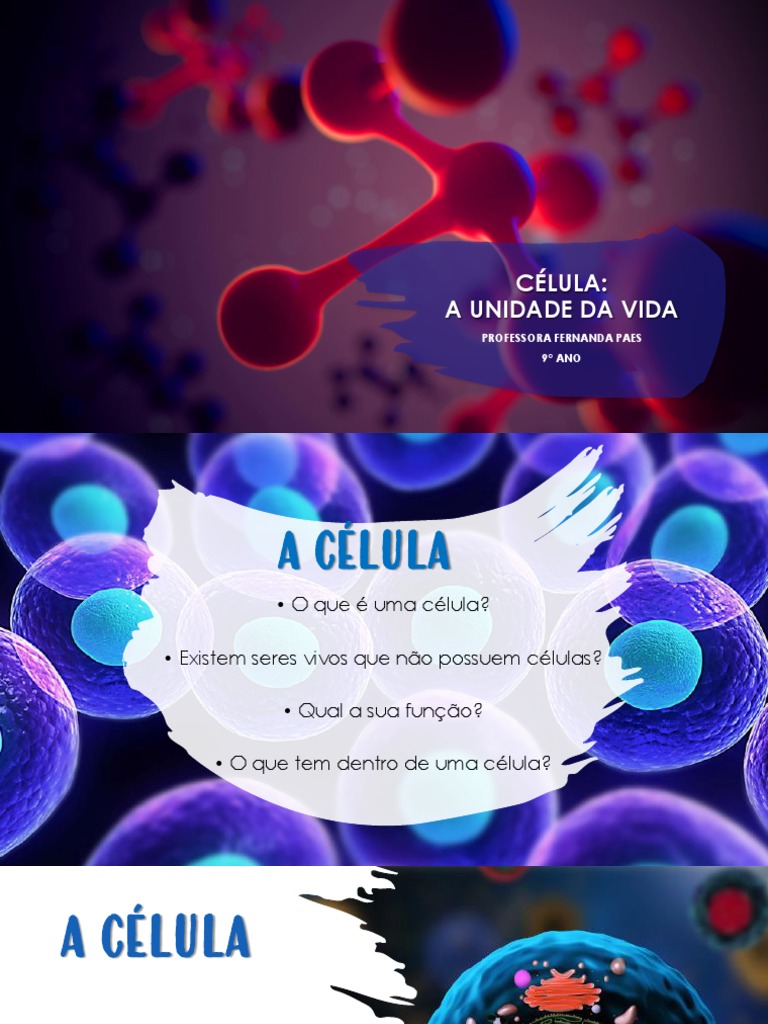 A Celula - 9o Ano | PDF