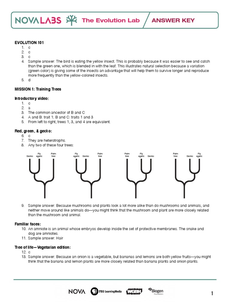 NOVA Evolution Lab Worksheets Answers | PDF
